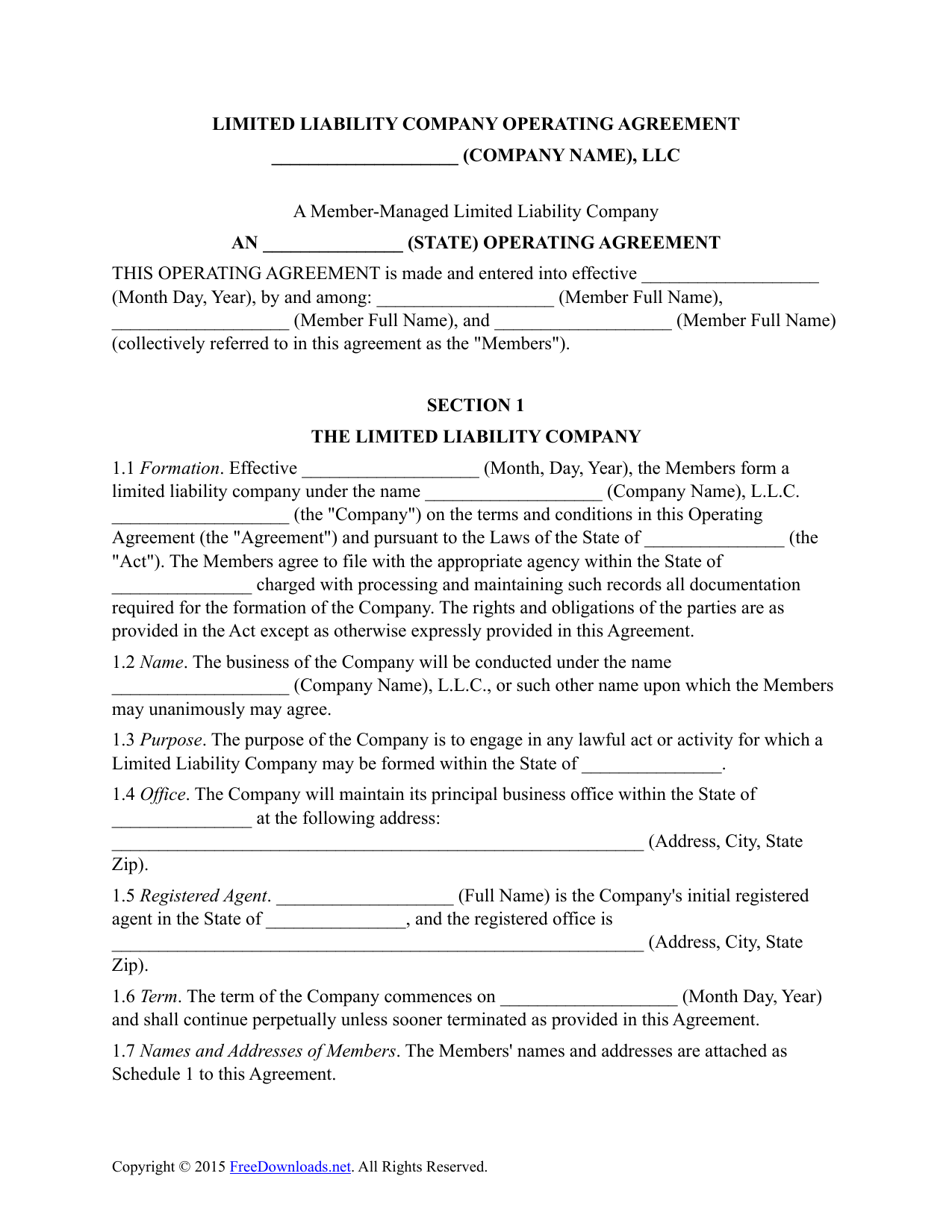 Download Multi Member LLC Operating Agreement Template PDF RTF