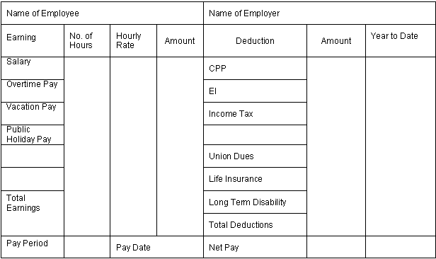 Uber Pay Stub Template
